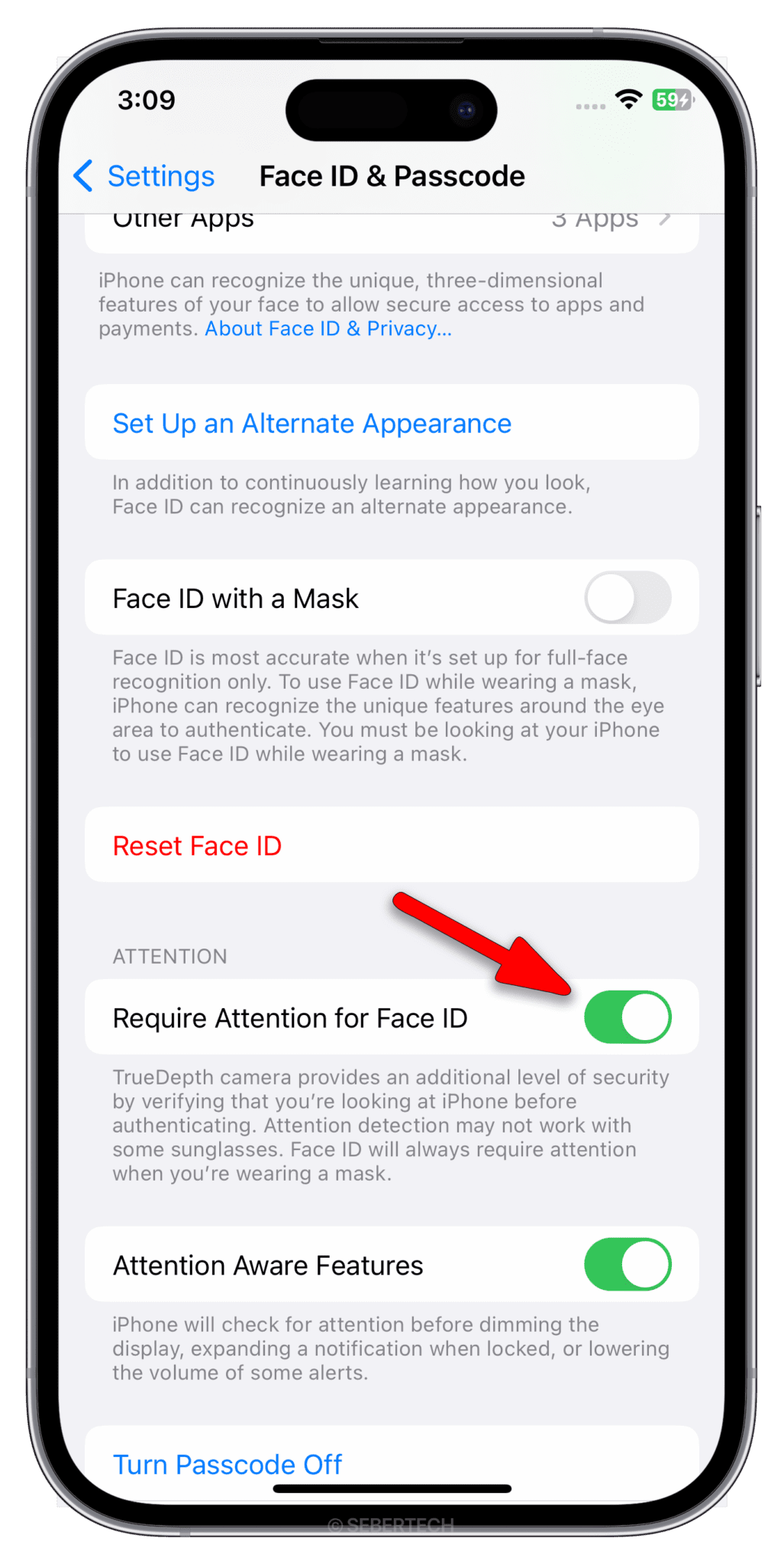 How to Set Up Face ID on iPhone 15 - Seber Tech