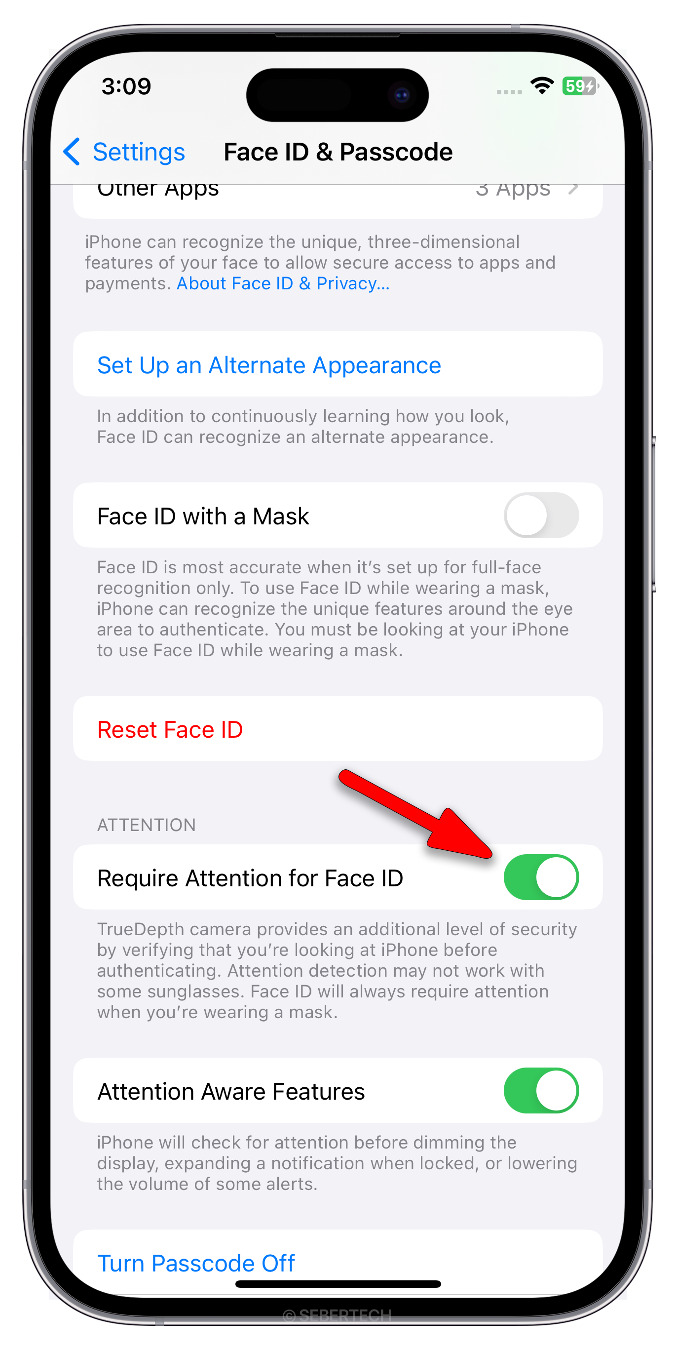 How to Set Up Face ID on iPhone 15 - Seber Tech